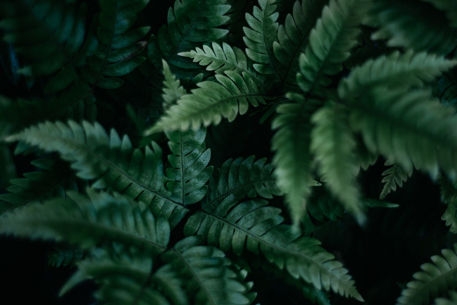 Project Example 3 – Nature – Abide Yapı